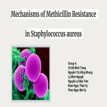 Bc2 antibiotic resistance group4 | PPT