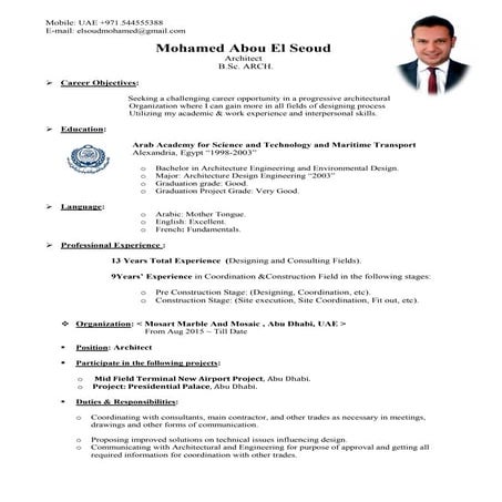 Mohamed Abou El Seoud Cv | PDF