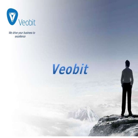Veobit_Presentation PA3 | PPT