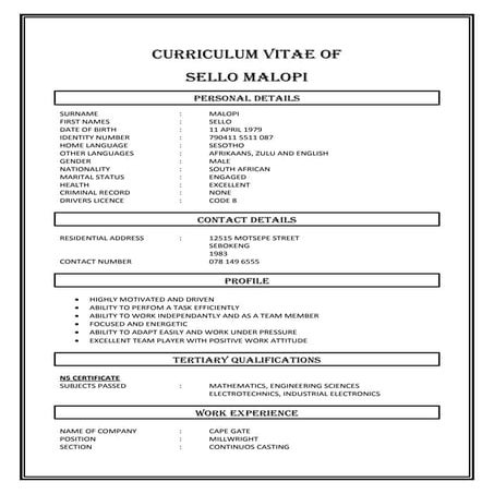 SELLO MALOPI CV 2 | PDF