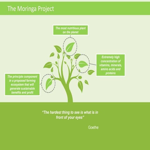 The Moringa Project v0.4.1 | PDF