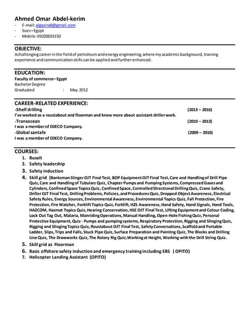 Fathi CV | DOCX | Technology & Computing