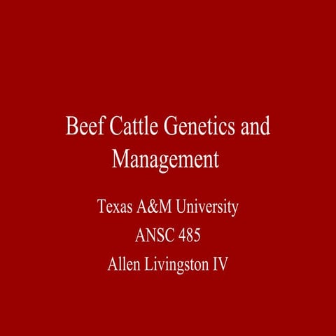 Beef Cattle Genetics and Management Power point | PPT