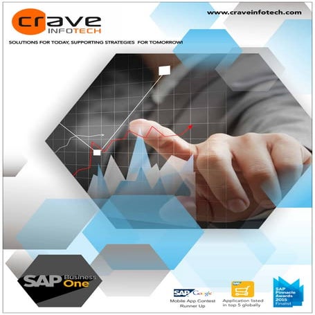 cBusiness One | PDF | Computer Software and Applications | Computing