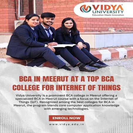 BCA in Meerut at a Top BCA College for Internet of Things.pdf