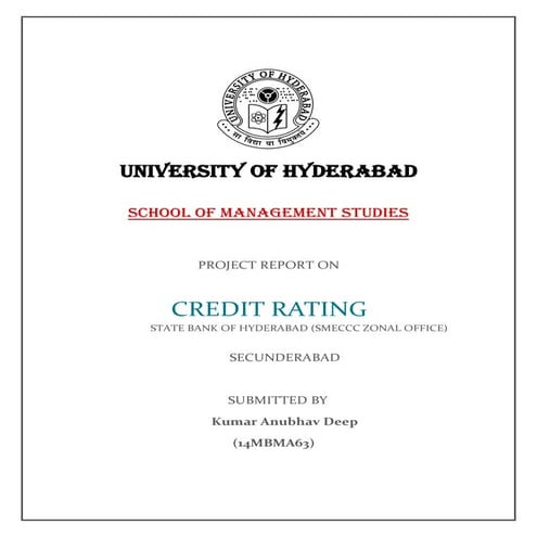 CREDIT RATING PROJECT | PDF