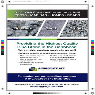 Print Out of Case Study by Lisa Posey | PDF