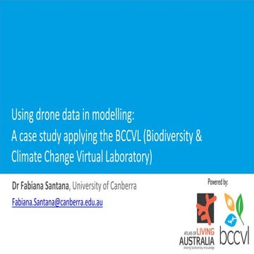 Using drone data in modelling:A case study applying the BCCVL | PPT