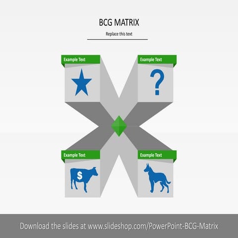 BCG Matrix | PDF