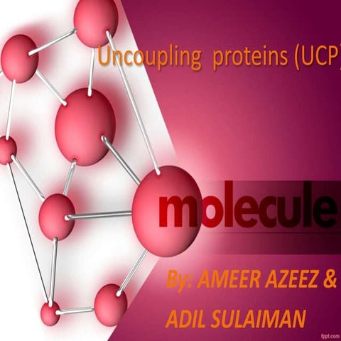 Uncoupling proteins (UCP) | PPTX