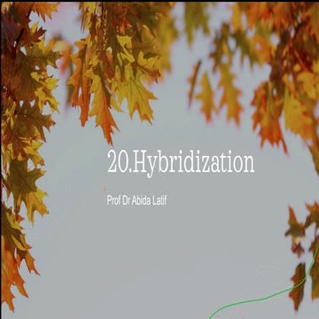 b) Chemical Bonding and Concept of Hybridization-1.pdf