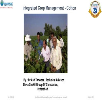 BCI-Cotton.pptx