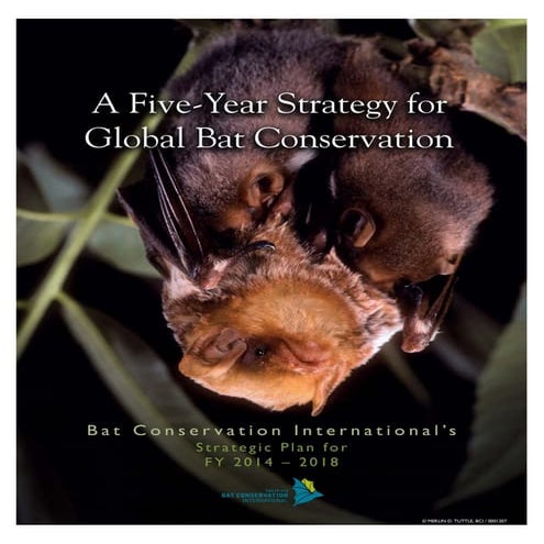 Bat Conservation International: A Five-Year Strategy for Global Bat ...
