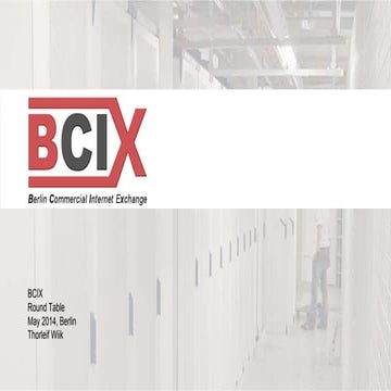 Unpredictable Traffic Bursts at npIX | PDF