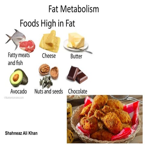 Fat metabolism | PPTX
