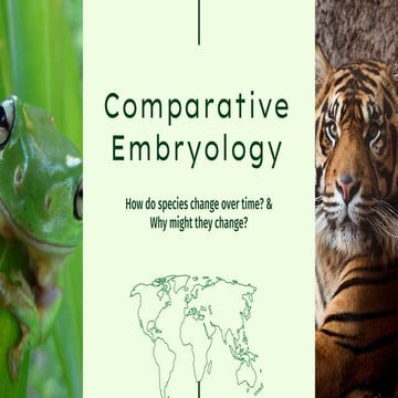 Comparative Embryology introduction | PPTX | Biological Sciences | Science