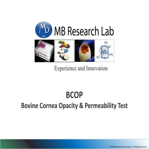 BCOP Basic-Background-Methods | PPTX