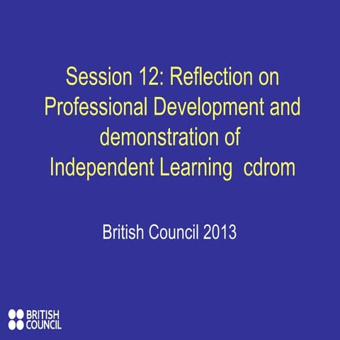 Reflection professional | PDF
