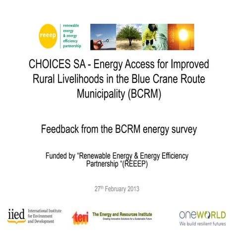 BCRM energy survey-I – John Notoane | PDF