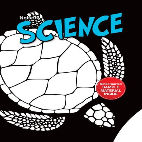 Science 6-Quarter 3 Daily Lesson Log Week 5 | DOCX