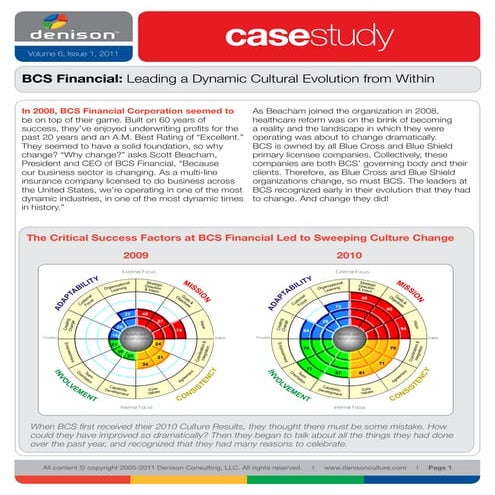 BCS Financial: Leading a Dynamic Cultural Evolution from Within | PDF