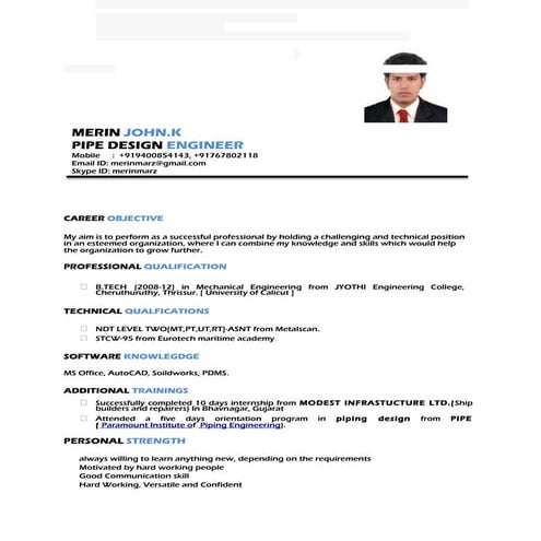 merin new cv1 | RTF | Civil Engineering Industry | Industries