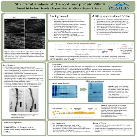 Amyloid Beta Poster | PDF