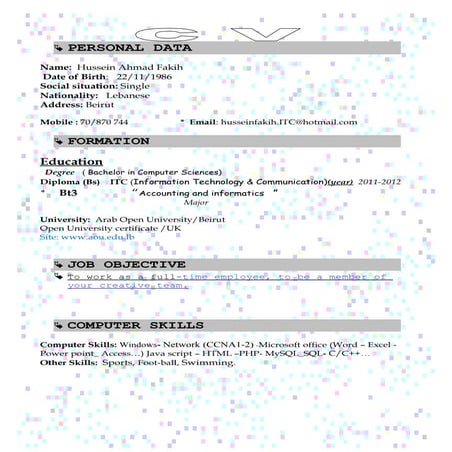 CV(hussein Fakih) | DOC