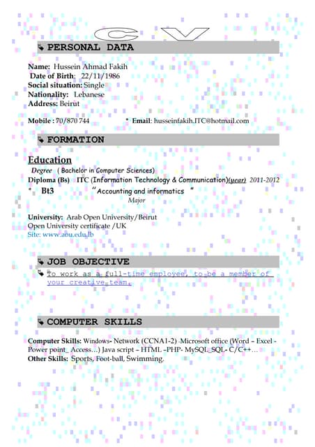 AHMAD CHOUBASSI CV | DOC | Business | Business and Finance