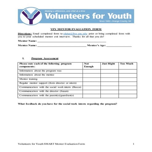 MENTOR EVALUATION FORM | DOCX