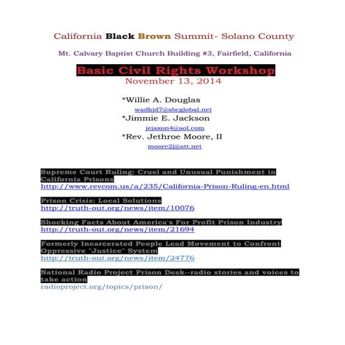 Basic Civil Rights- California Black Brown Summit | DOCX