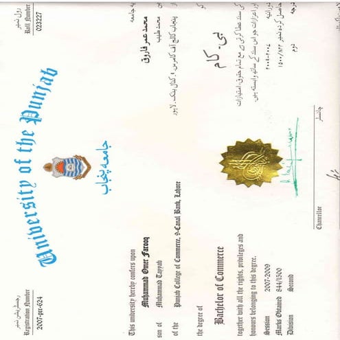 bachelor degree | PDF