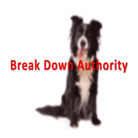 Bda | PDF