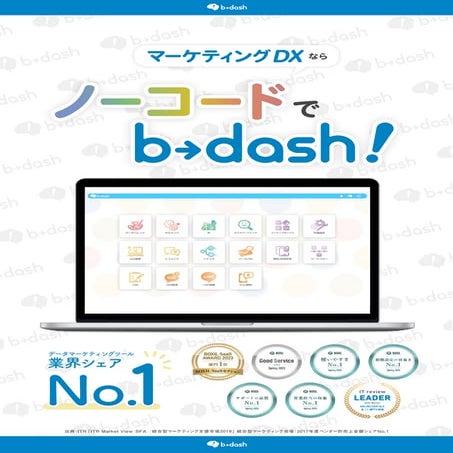 b→dash Pamphlet.pdf