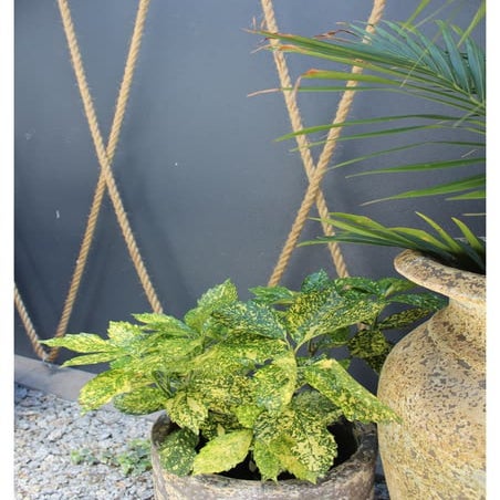 planter 3 | PDF | Gardening | Home & Garden