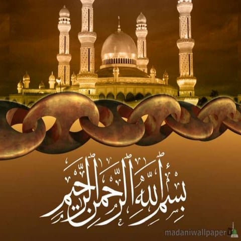 Urinary System Of Goat(1) | PPTX