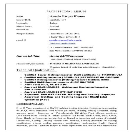 Rsj Inspection Process Flow | PDF