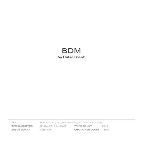 Bdm | PDF