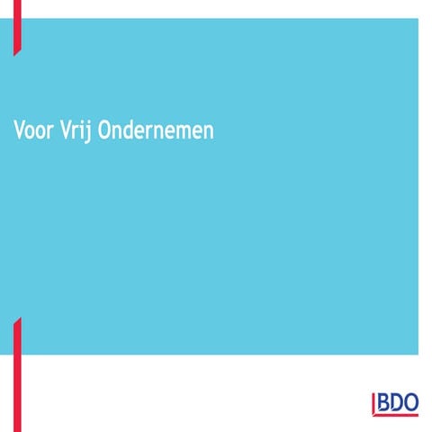 BDO Risk Factor Report