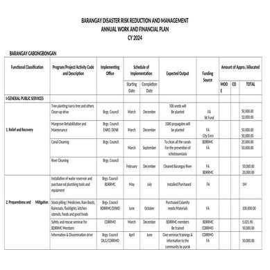 CBDRRM PLANNING WORKSHOP - TEMPLATE.pptx