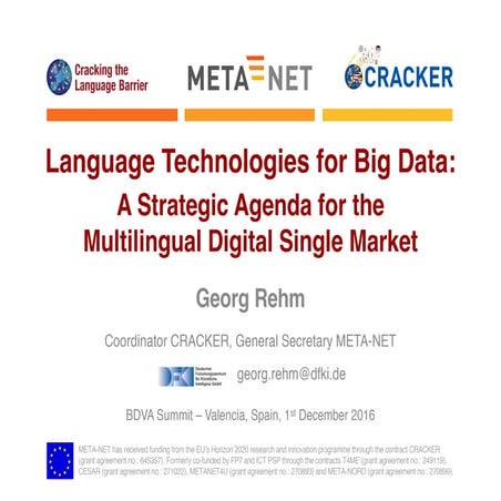 Language Technologies for Big Data – A Strategic Agenda for the ...