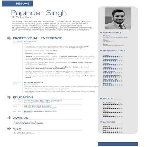 Papinder Singh - IT Consultant - B.Tech (IT) | PDF