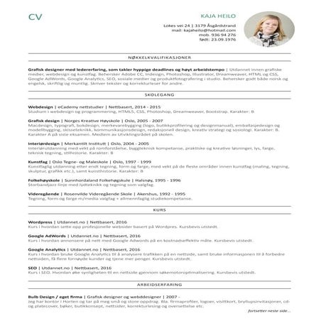 Cv steven webcruiter | PDF
