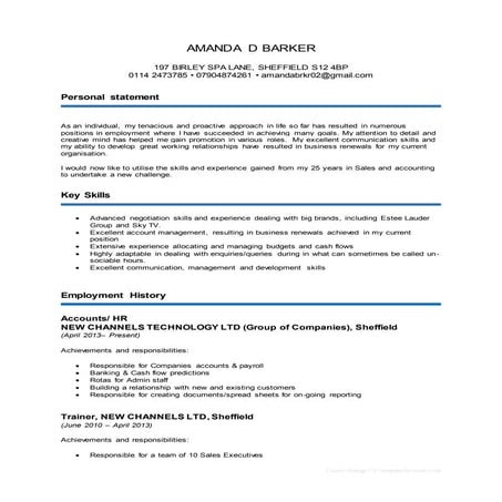 Resume Danny Lajer | PDF