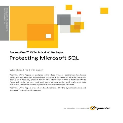 White Paper Protecting Microsoft Sql With Backup Exec 15 Pdf