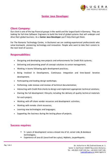 JD Solution Architect- Credit Risk | PDF