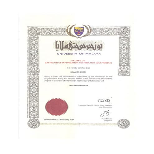 Bachelor's degree | PDF