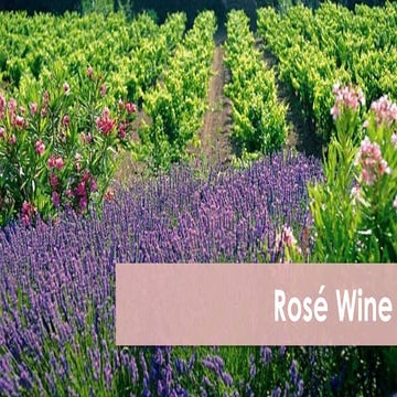 Rose presentation - C Peters | PPTX