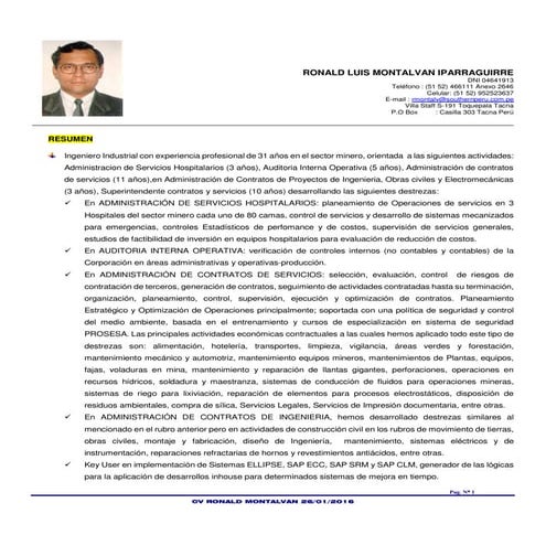 2016 01 CV Ronald Montalván | PDF