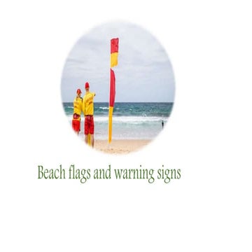 Beach flags and warning signs | PPTX